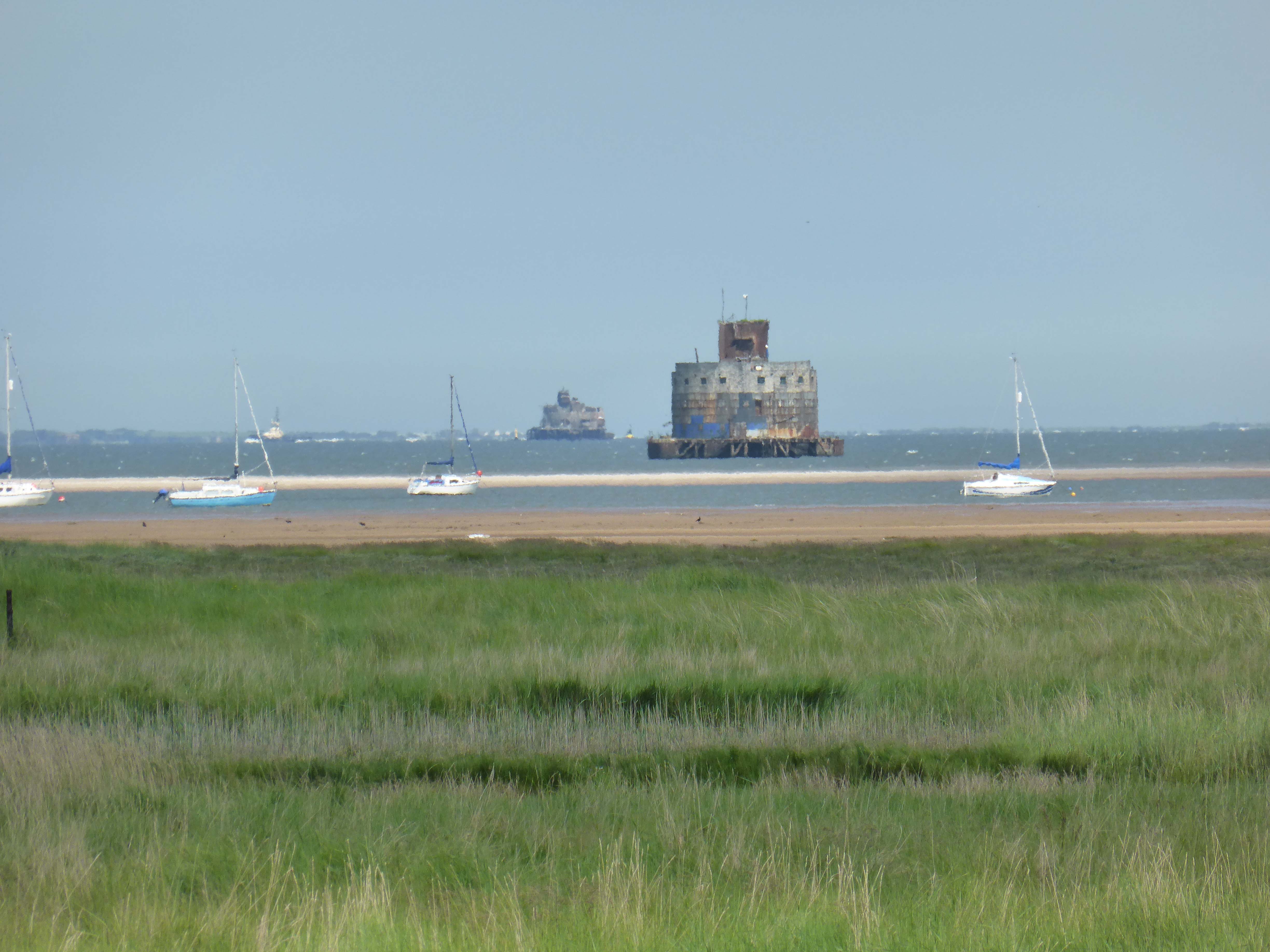 Tetney Lock » Two Dogs and an Awning