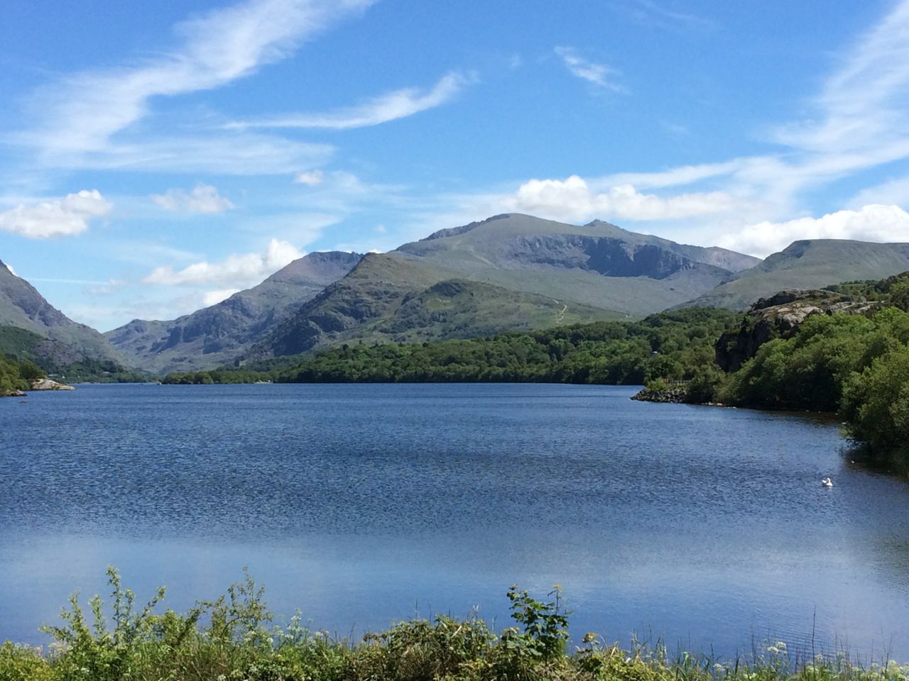 A Walk Around Llyn Padarn » Two Dogs and an Awning