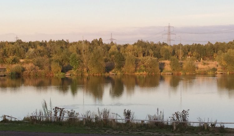 A Night at Poolsbrook Country Park » Two Dogs and an Awning