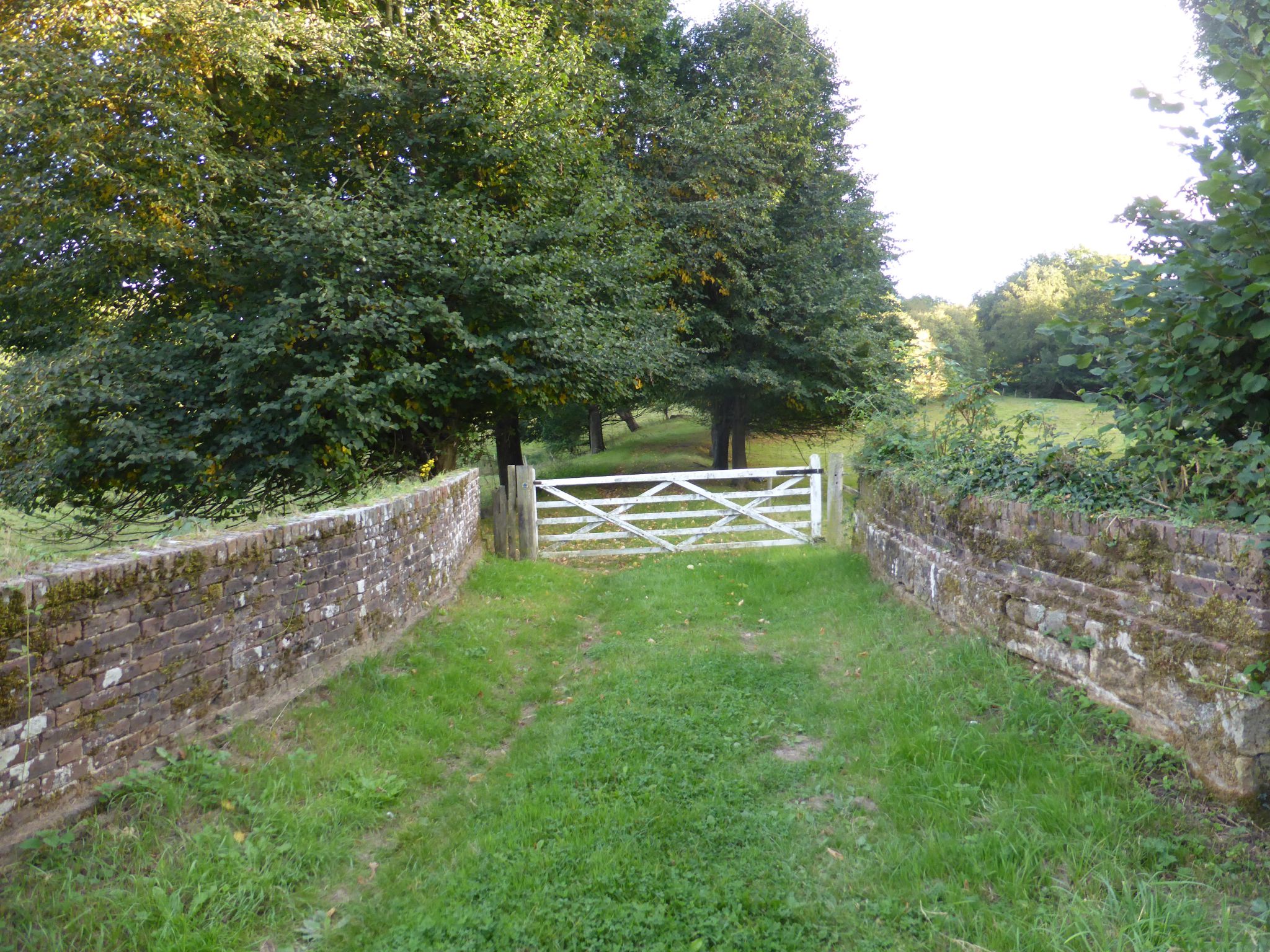 Walking to Wadhurst » Two Dogs and an Awning
