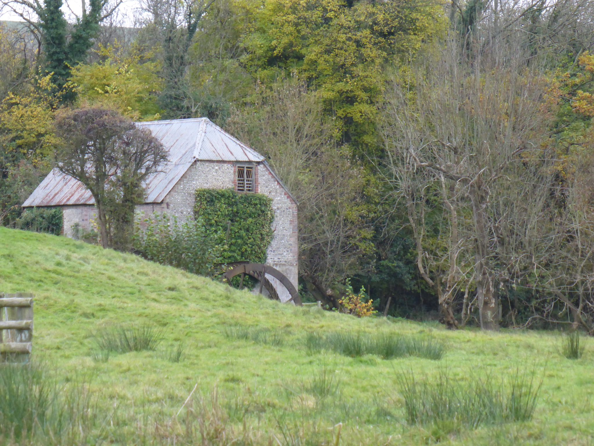 Amberley and Parham Park via Rackham Hill » Two Dogs and an Awning