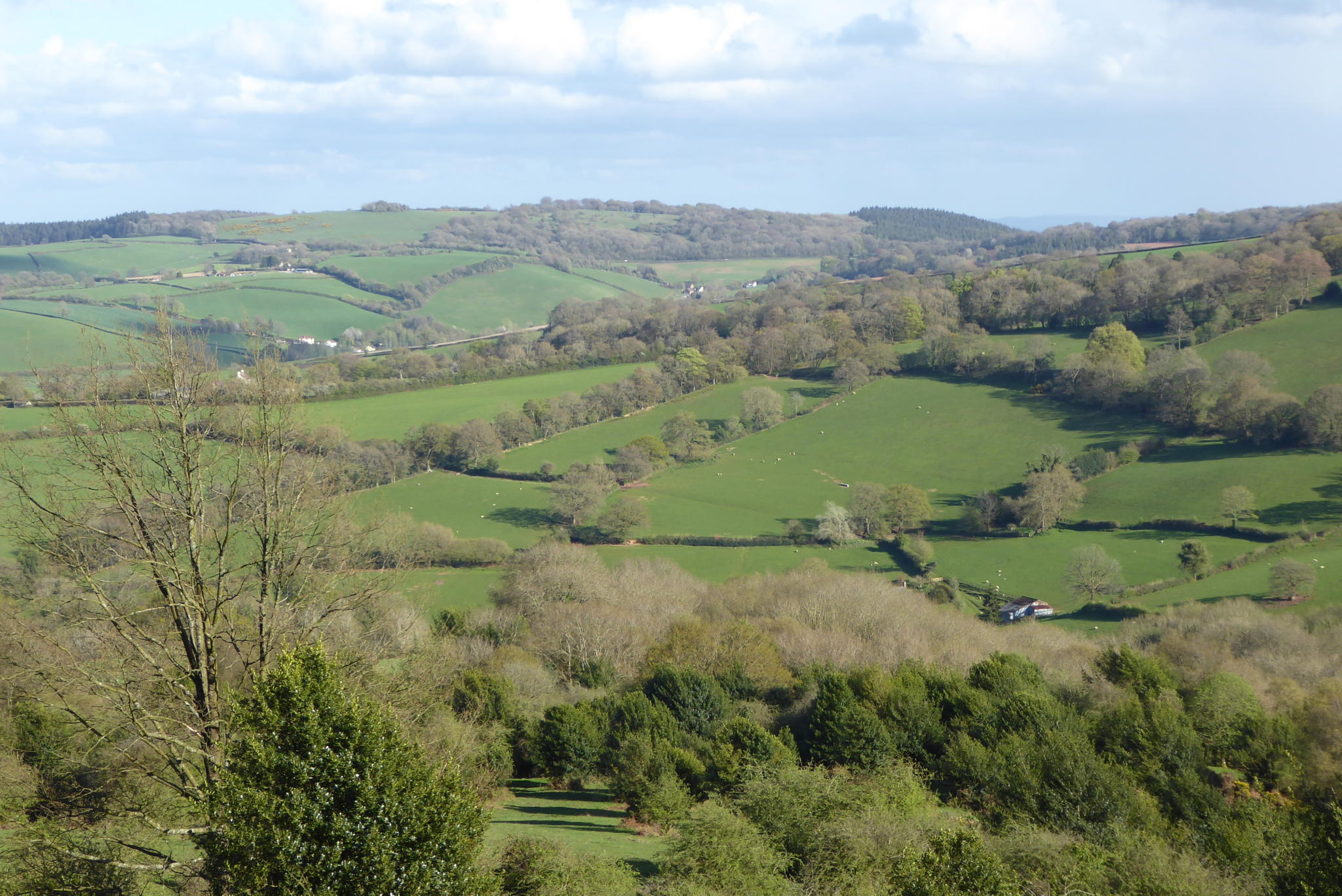 A Circular Walk from Crowcombe Combe Gate to Aisholt » Two Dogs and an ...