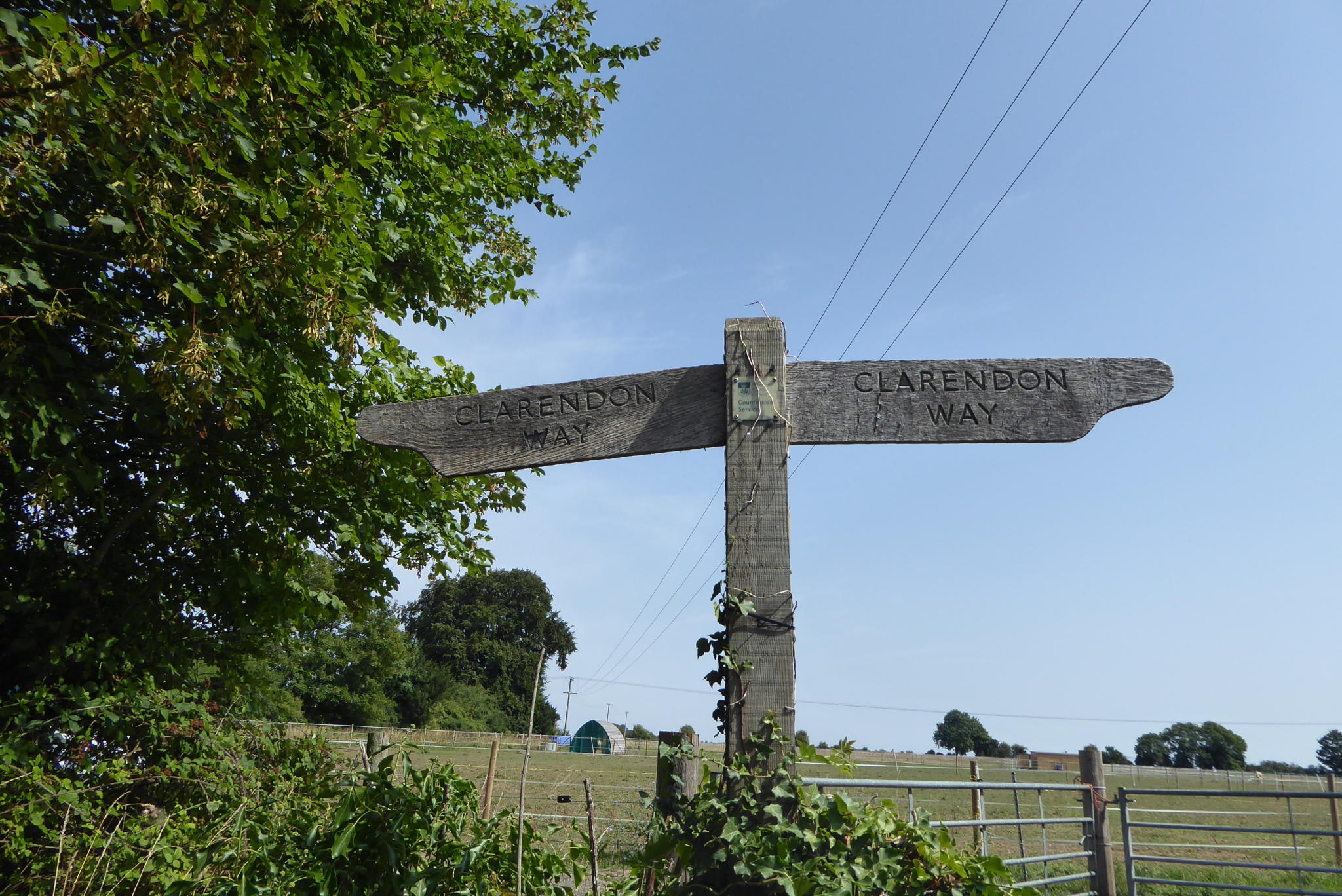 Walking the Clarendon Way » Two Dogs and an Awning