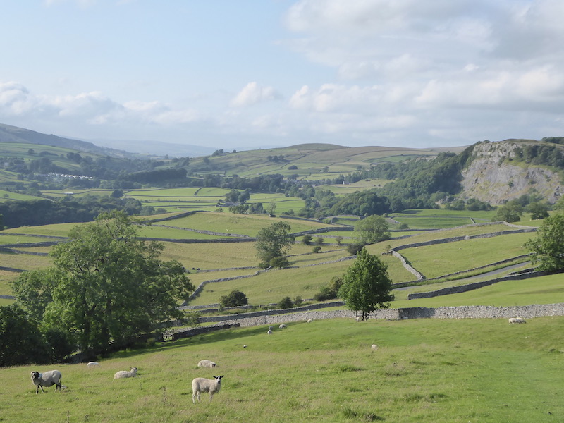 A Circuit to Langcliffe » Two Dogs and an Awning