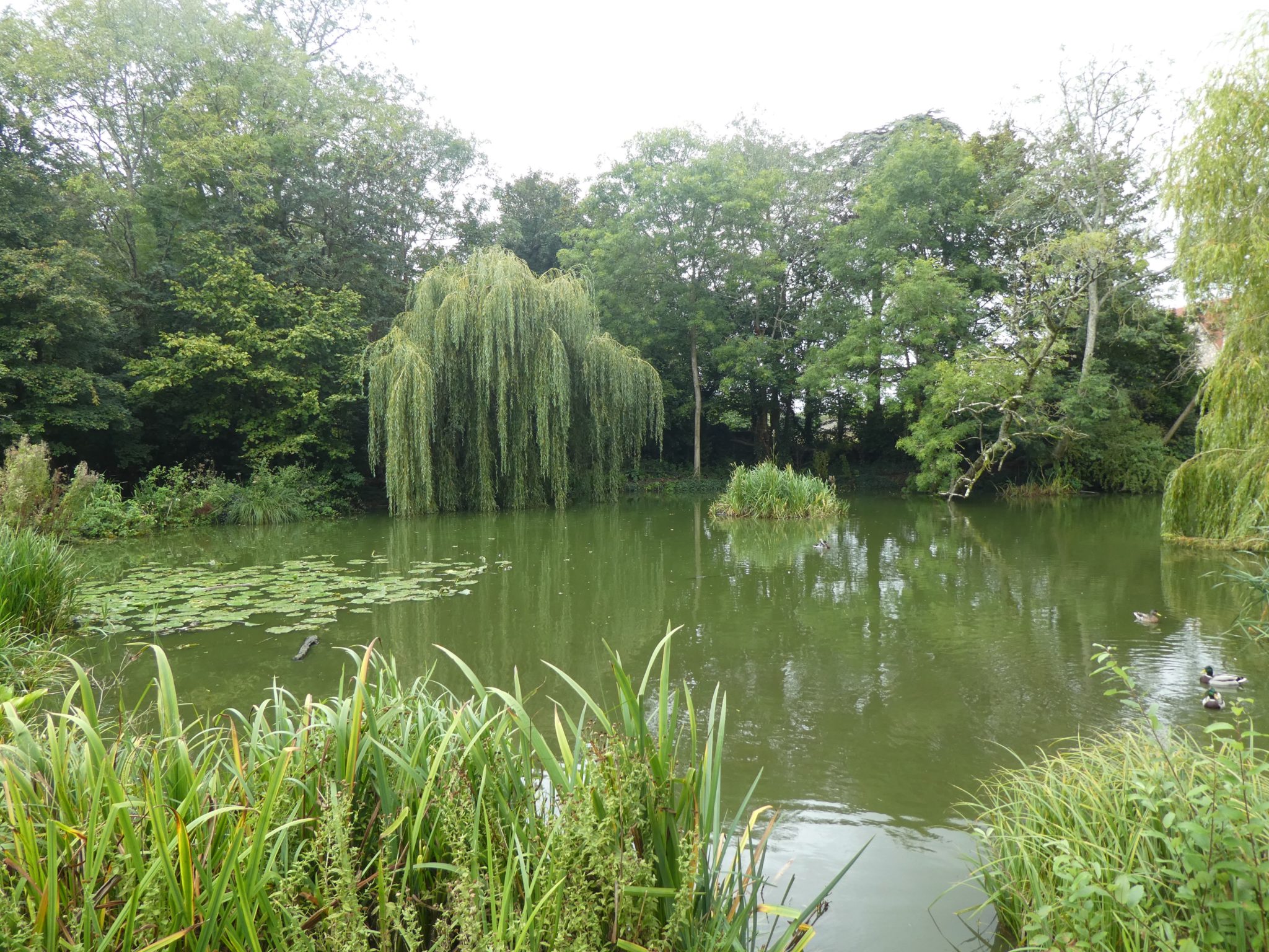 A 12.5 Mile Circular Walk from Slindon » Two Dogs and an Awning