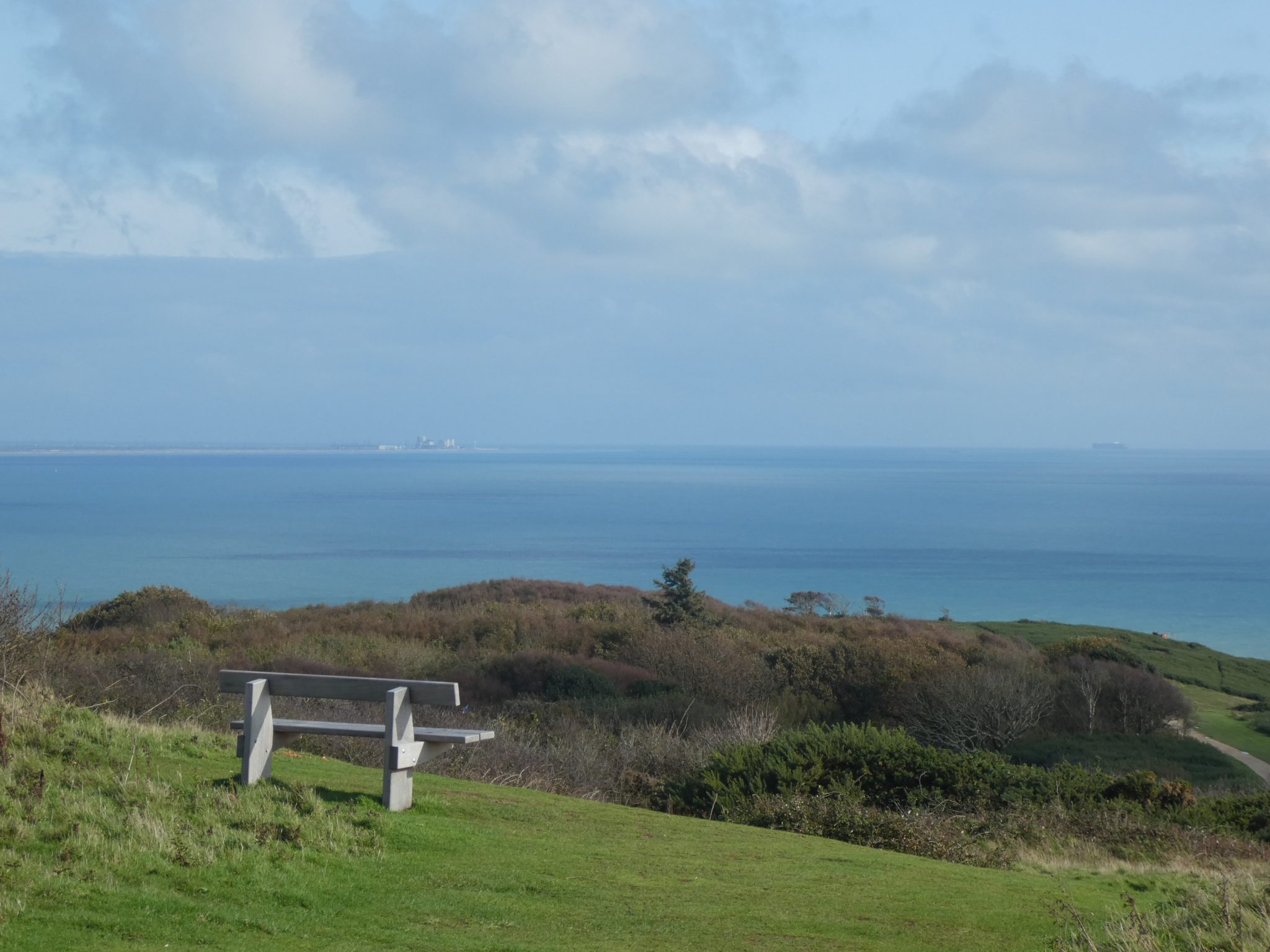 General William Roy and Grey Owl » Two Dogs and an Awning