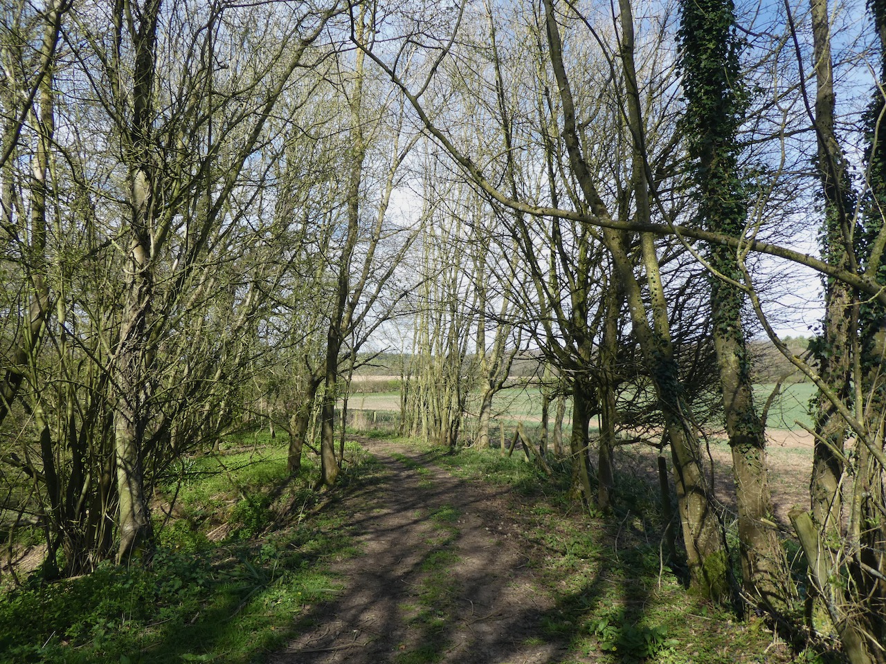 Walking to Farley Farm » Two Dogs and an Awning