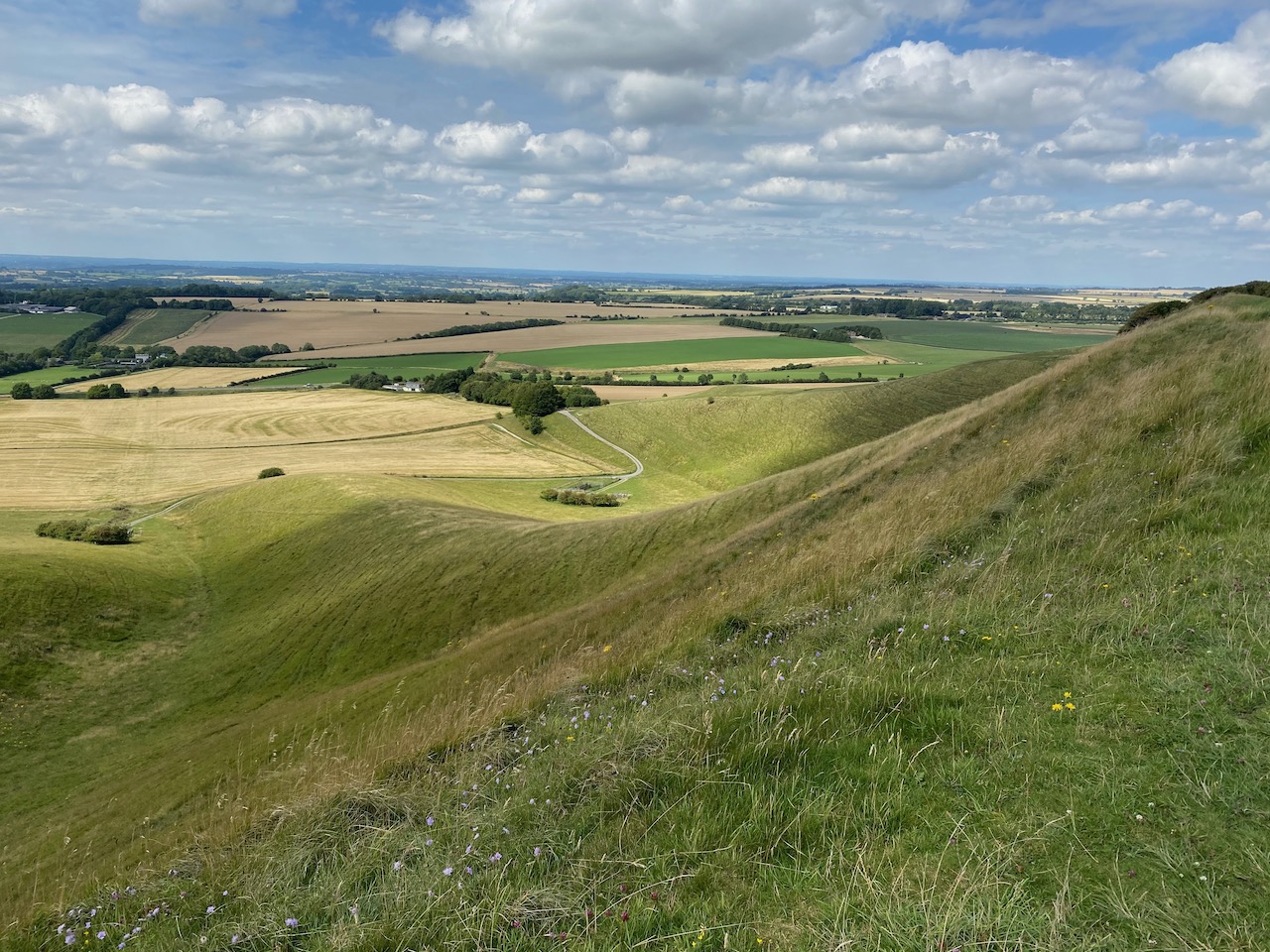Cherhill Monument from Roundway Hill » Two Dogs and an Awning