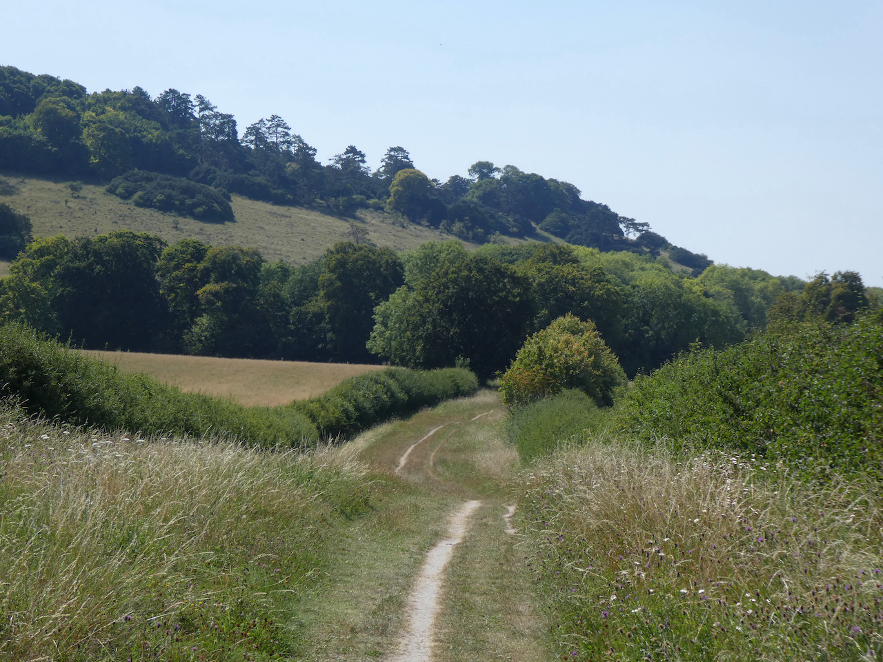 Aston Rowant Nature Reserve and Turville Heath » Two Dogs and an Awning