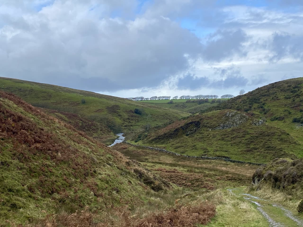 Trig Hunting on Exmoor in the Rain » Two Dogs and an Awning