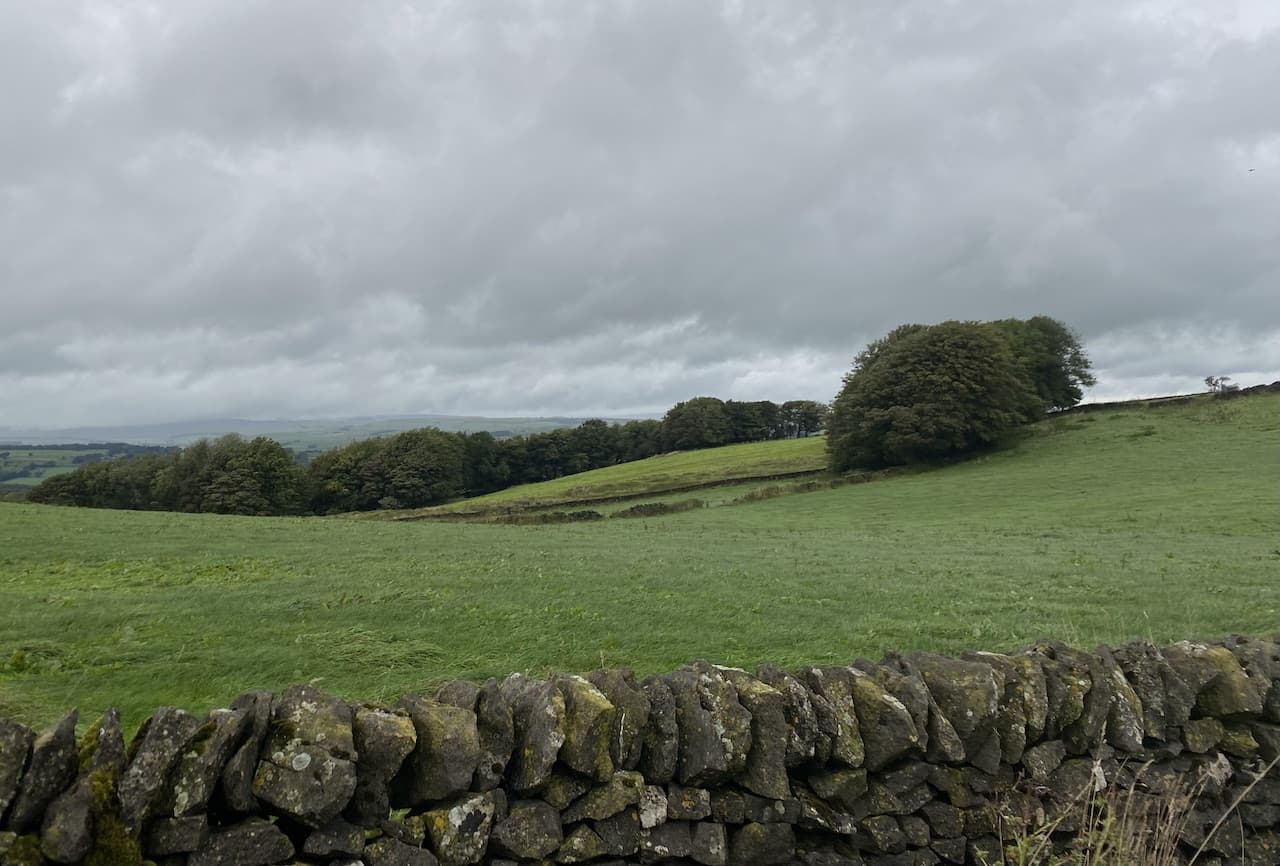 A Saunter to Sough Top » Two Dogs and an Awning