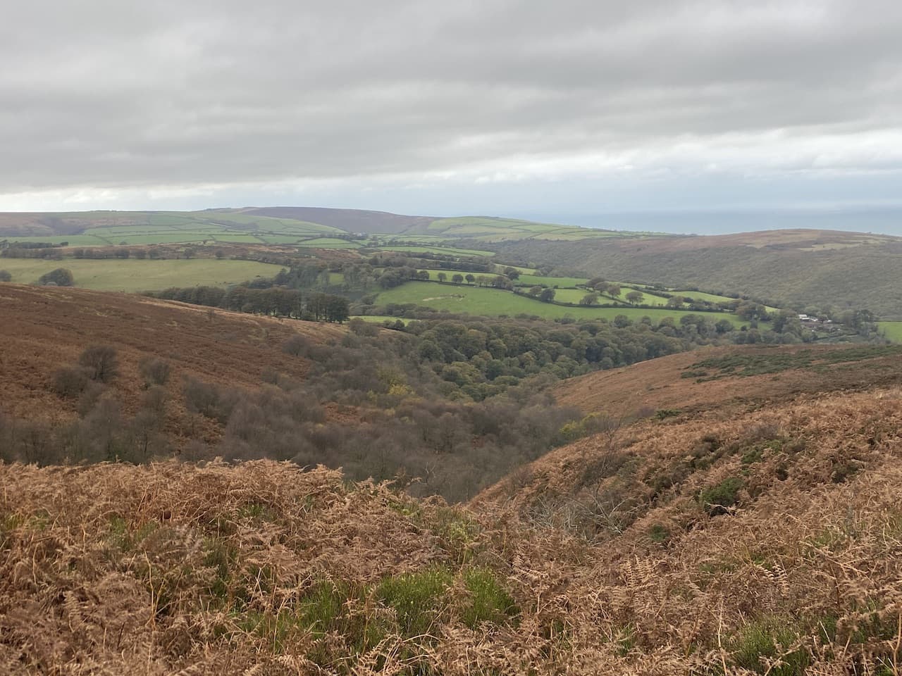 Visiting Beacons on Exmoor » Two Dogs and an Awning