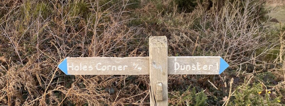 Hopcott Common and Alcombe Common » Two Dogs and an Awning