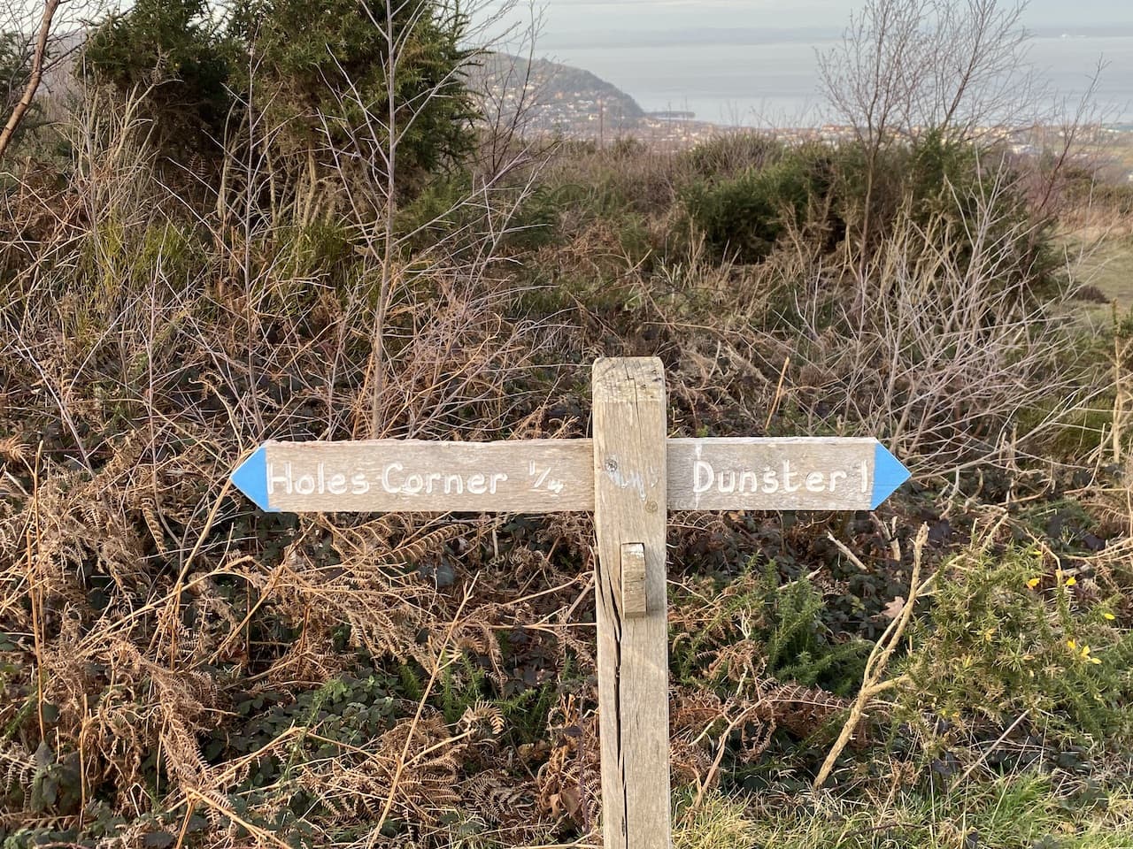 Hopcott Common and Alcombe Common » Two Dogs and an Awning