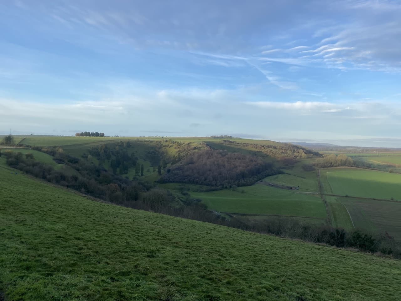 Walking on Watership Down » Two Dogs and an Awning
