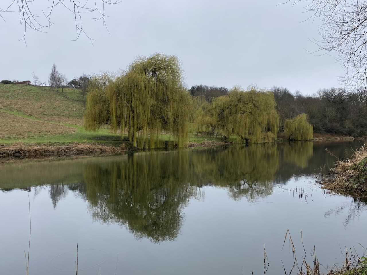 River Avon Loop via Nafford » Two Dogs and an Awning