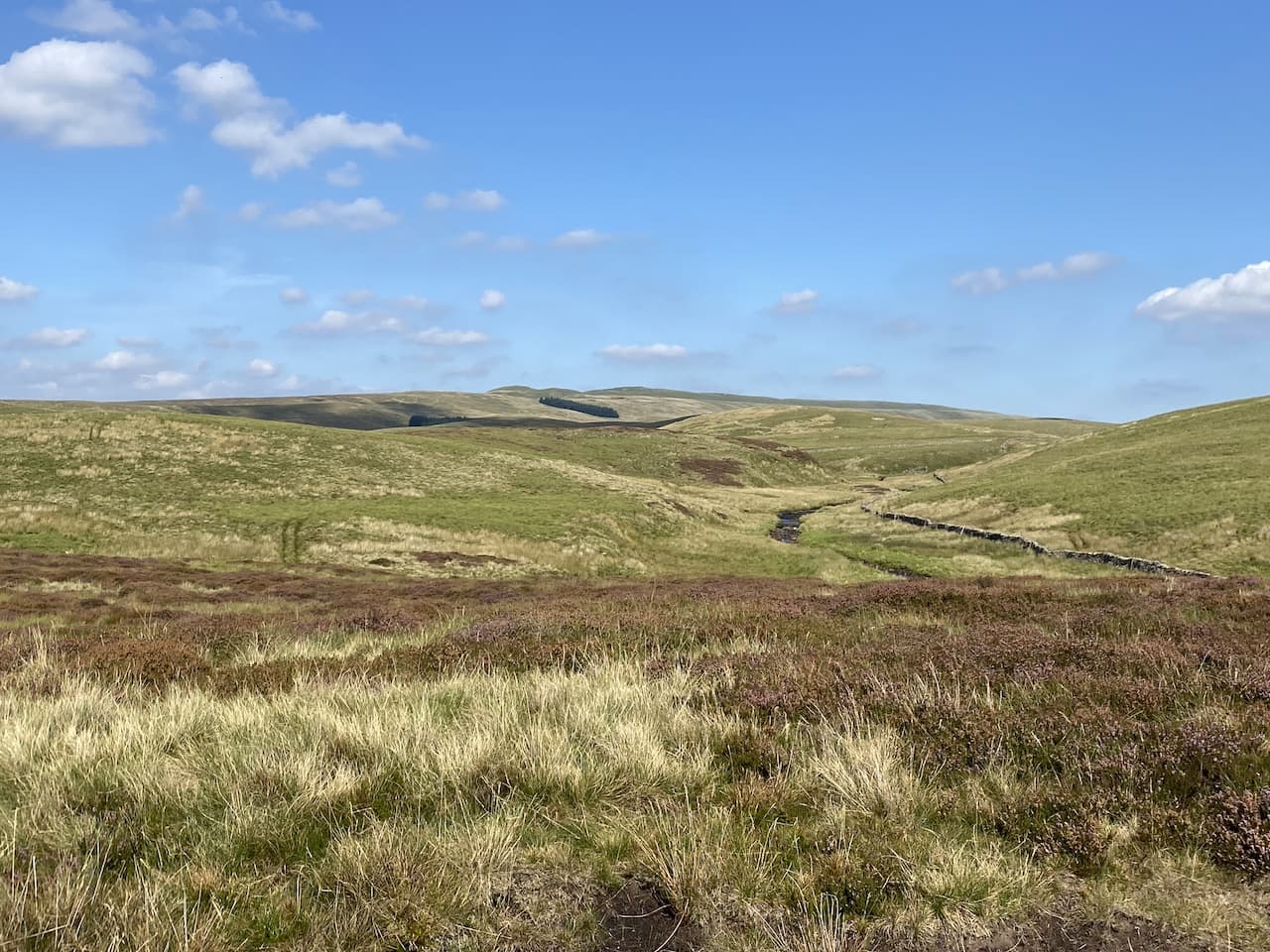 On Horton Moor » Two Dogs and an Awning