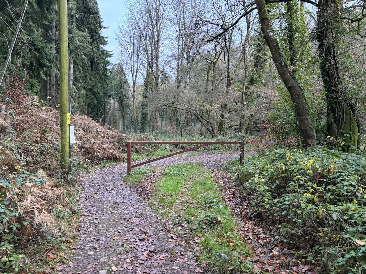 A Circuit to Long Combe » Two Dogs and an Awning