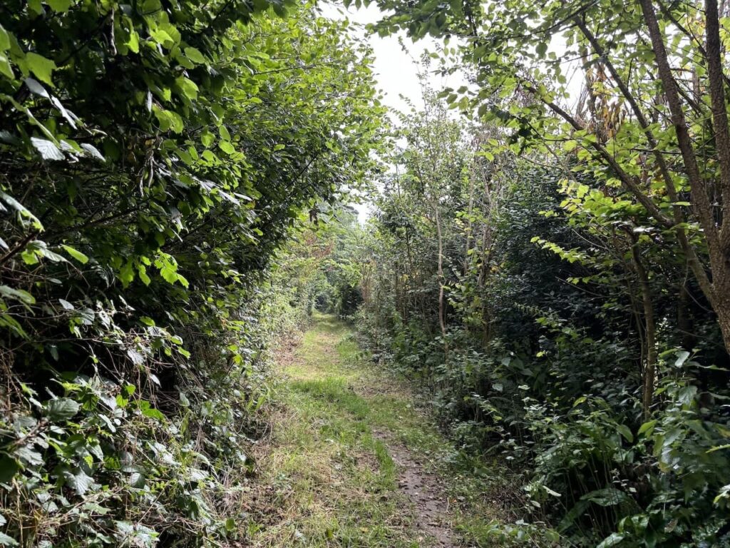 St Edward’s Way - Day 2 - Winterborne Stickland to Shaftesbury » Two ...