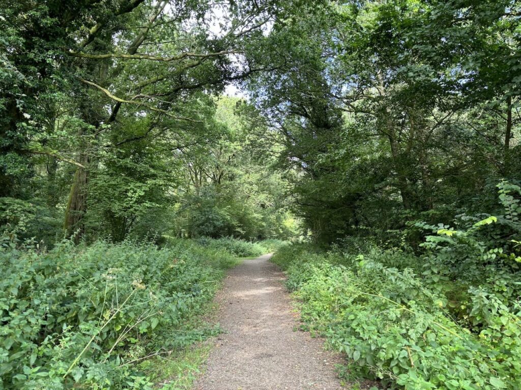 St Edward’s Way - Day 2 - Winterborne Stickland to Shaftesbury » Two ...